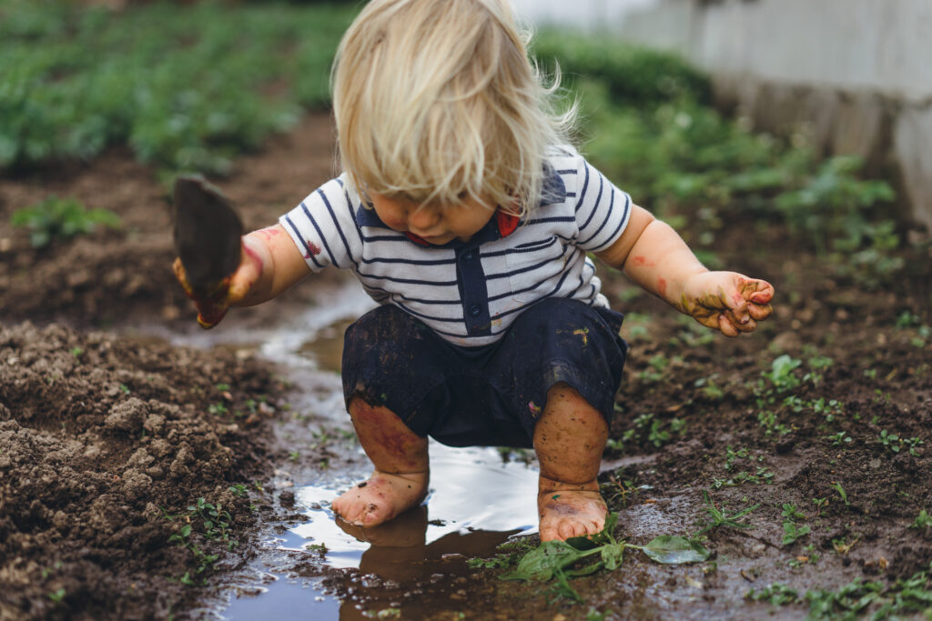 Practical Fixes for Muddy Backyards: Cleaner Outdoor Spaces